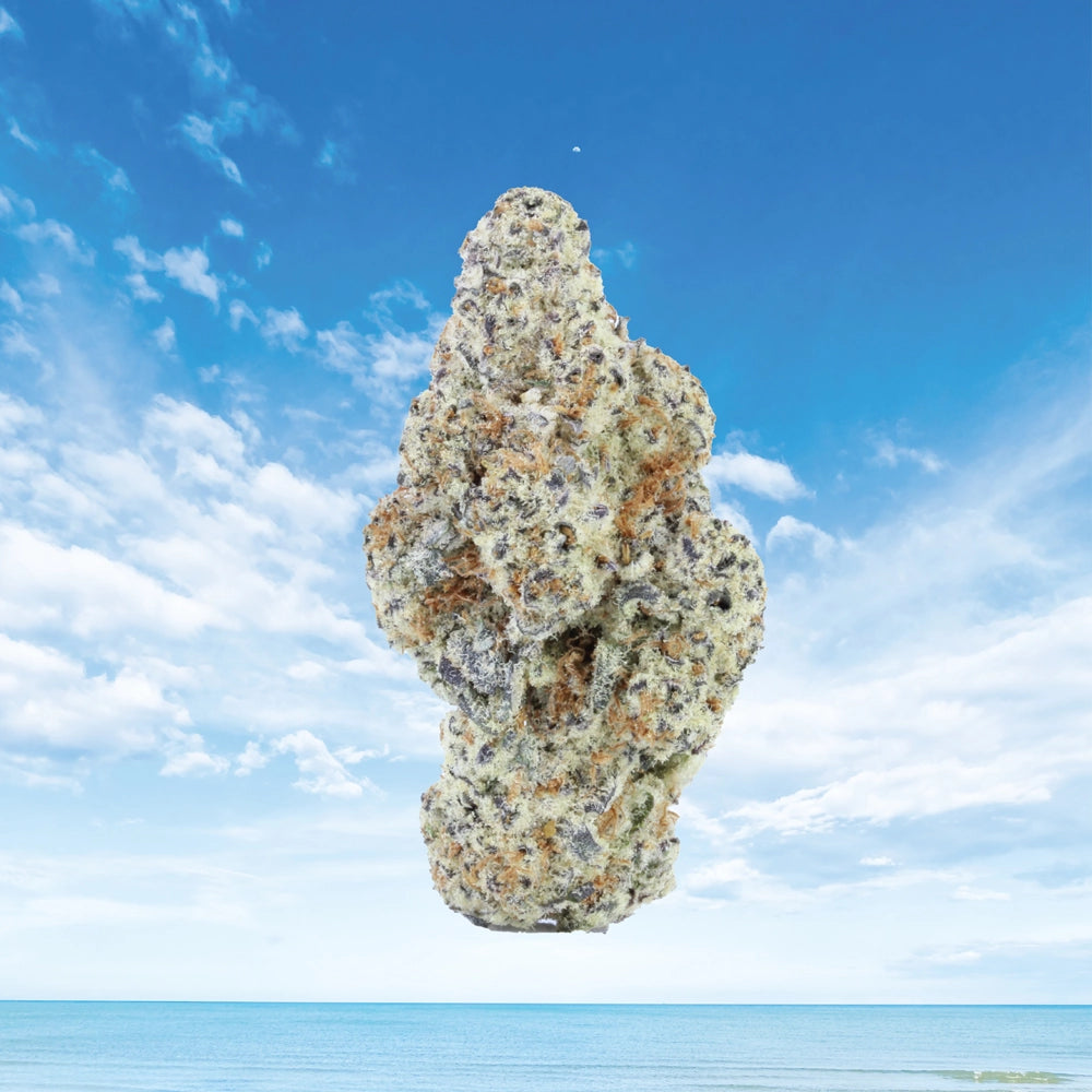 First Class Exotic THCA Flower: AAA Hemp – URB